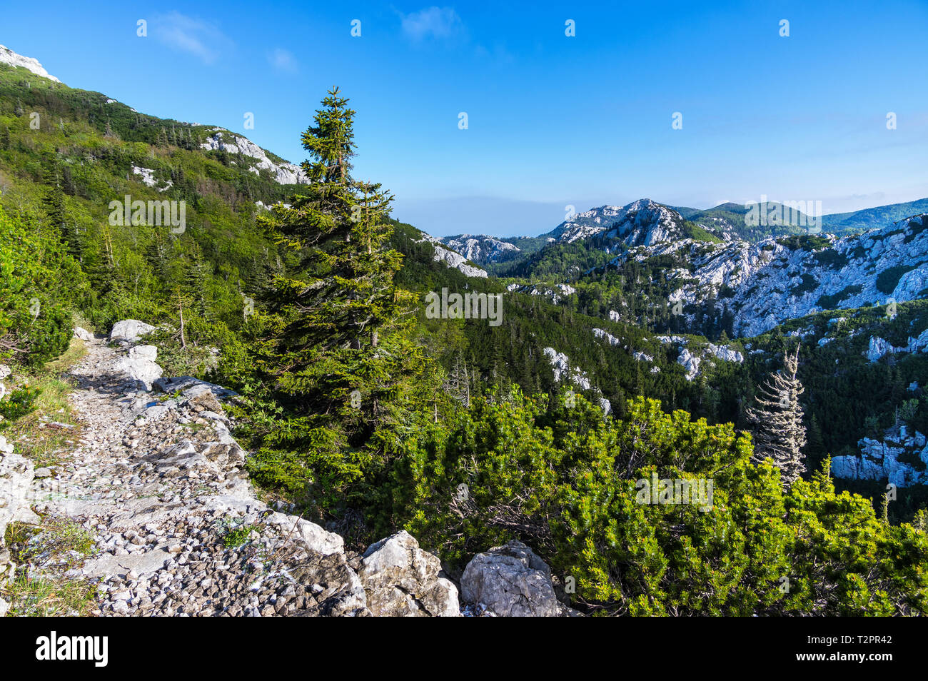 National park Sjeverni Velebit. One of the most beautiful parts of ...