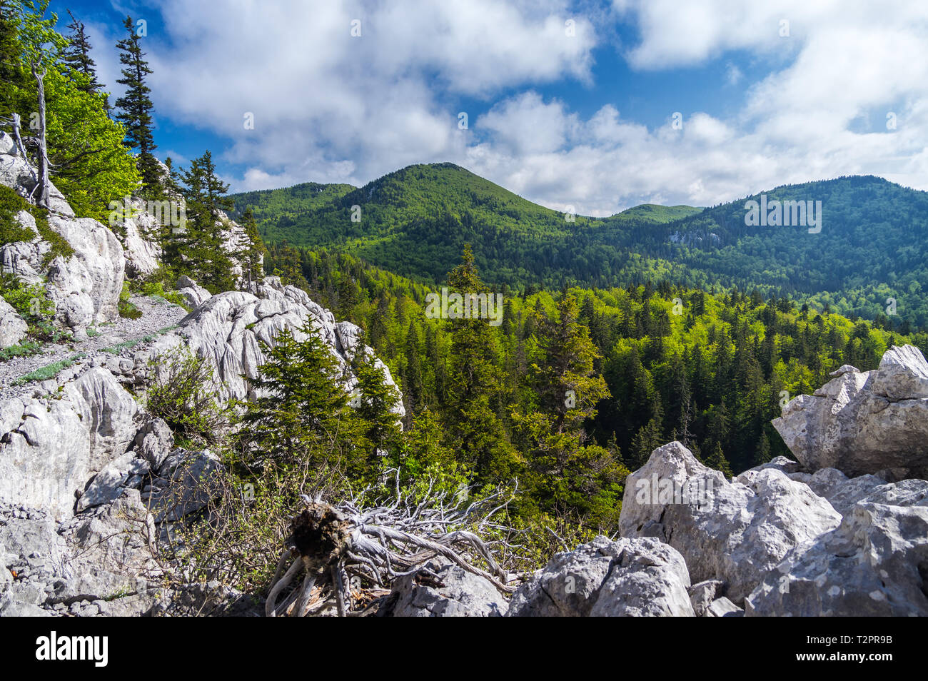 National park Sjeverni Velebit. One of the most beautiful parts of ...