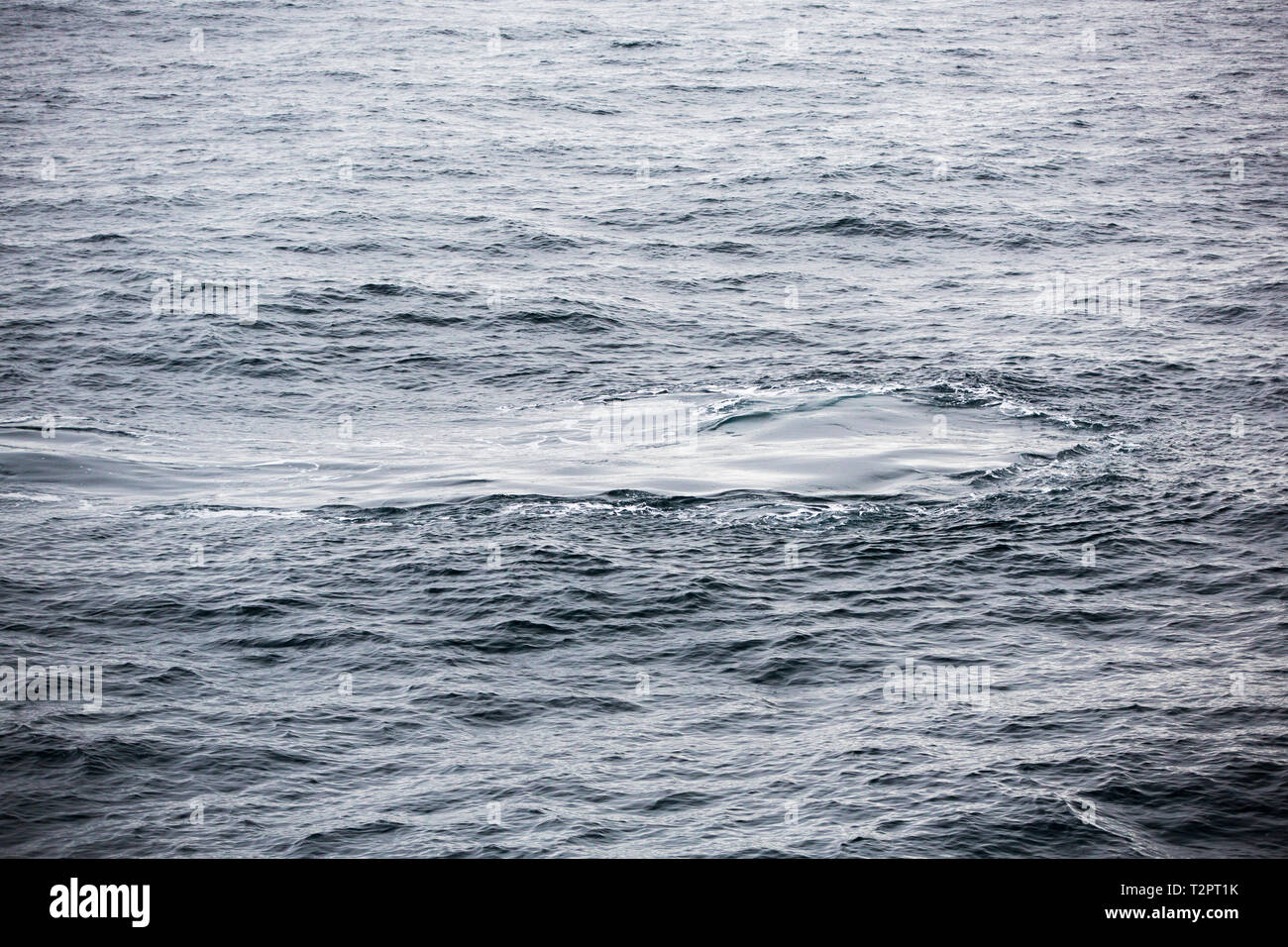 Whales footprint hi-res stock photography and images - Alamy
