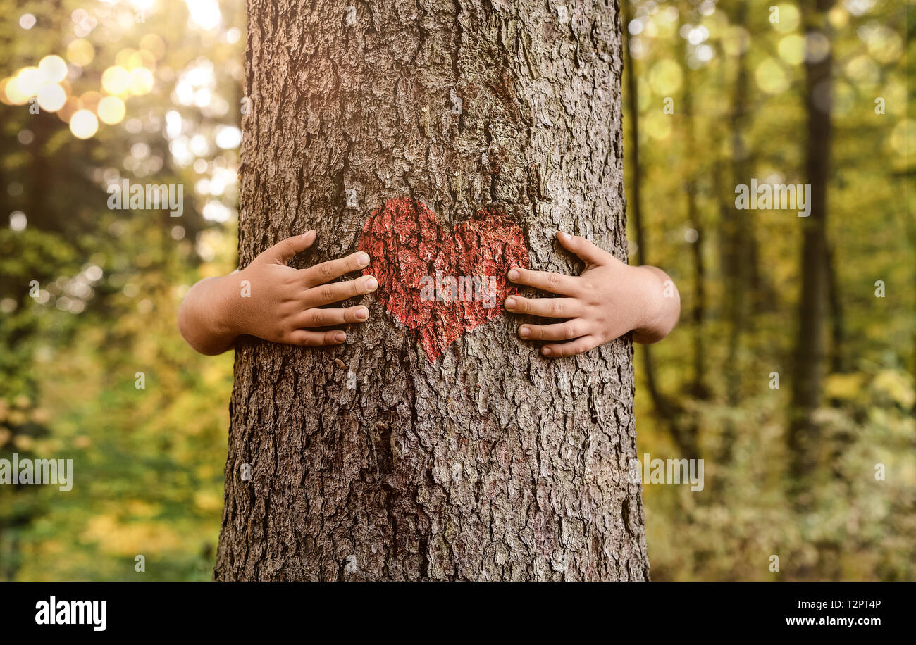 Tree Hug Heart High Resolution Stock Photography and Images - Alamy