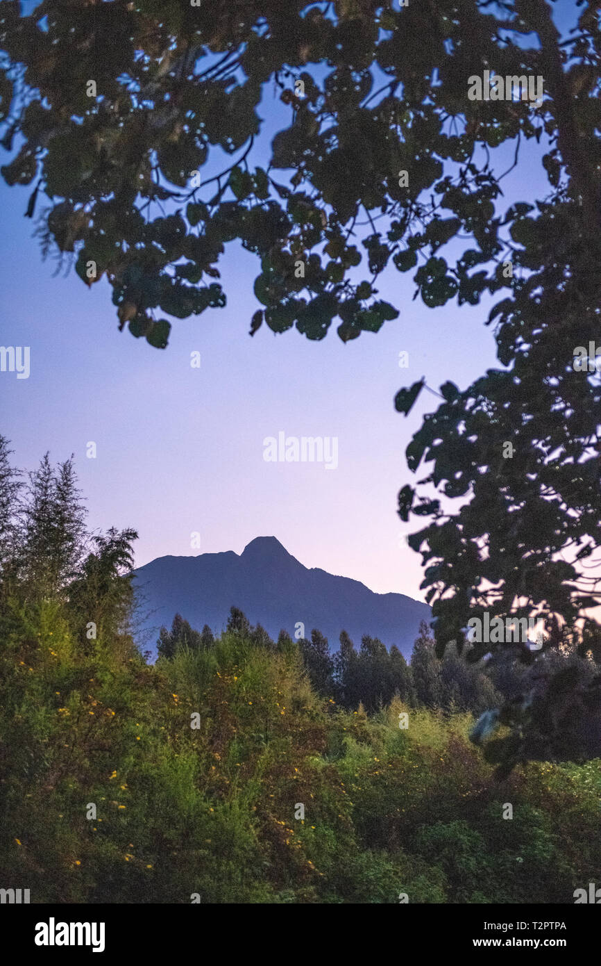 Sunrise Volcanos National Park , Rwanda Stock Photo - Alamy