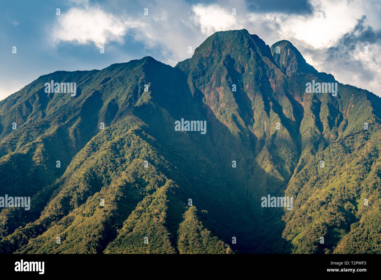 Mount Sabyinyo with cloudy skies above in Volcanoes National Park ...