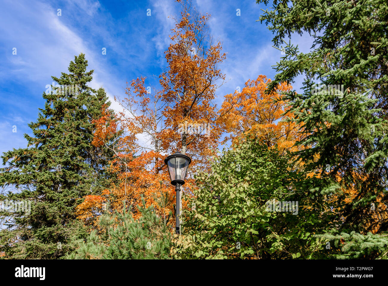 Canadian fall style hi-res stock photography and images - Alamy