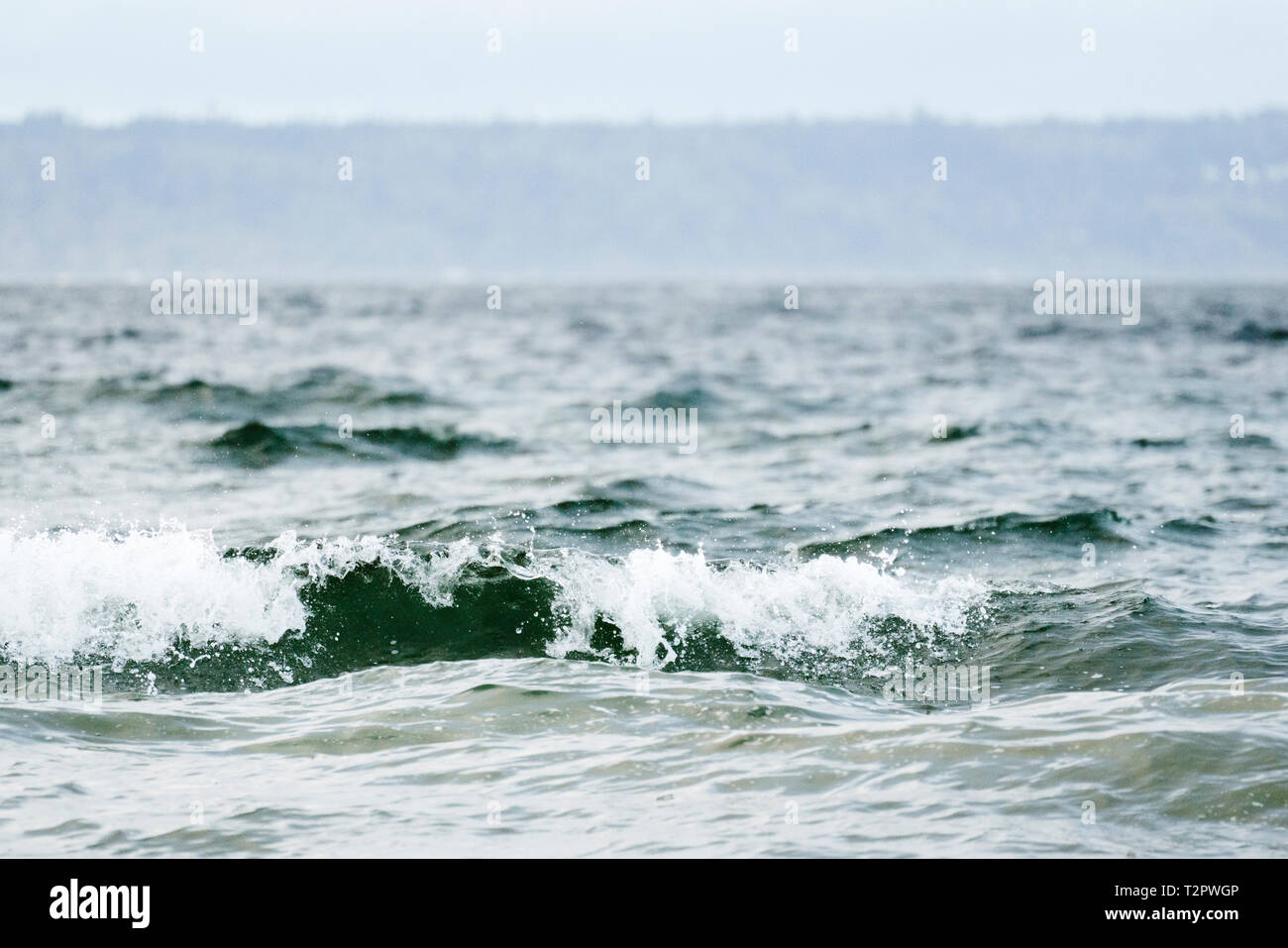A wave breaks in the Puget Sound Stock Photo - Alamy