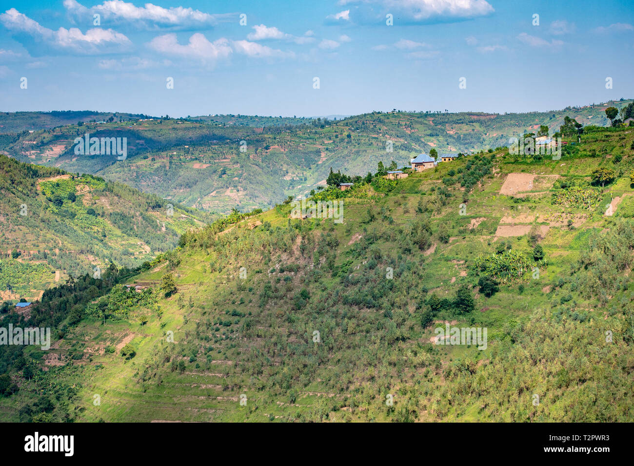 Rolling hills rwanda hi-res stock photography and images - Alamy