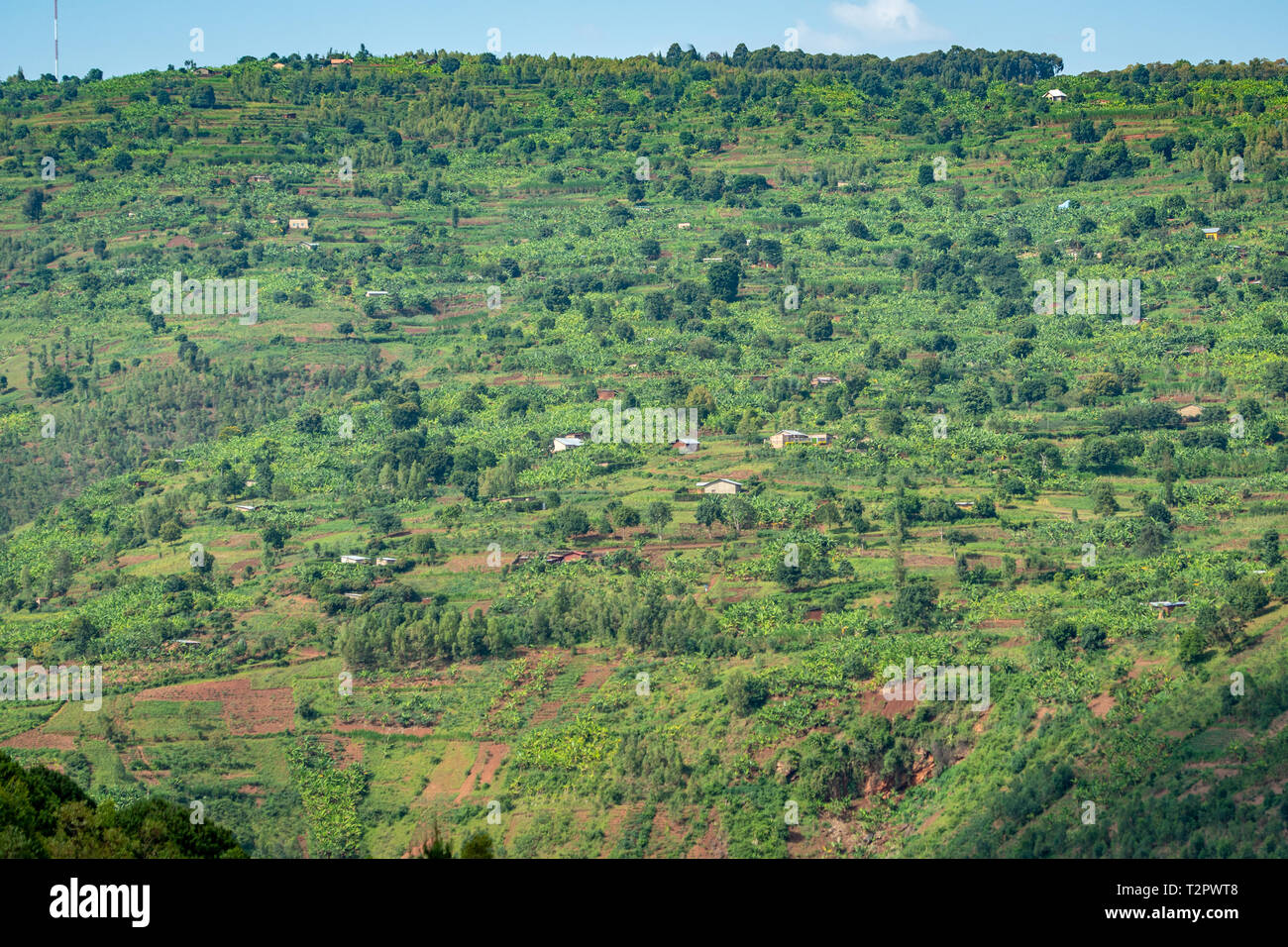 Countryside in northwest Rwanda Stock Photo - Alamy