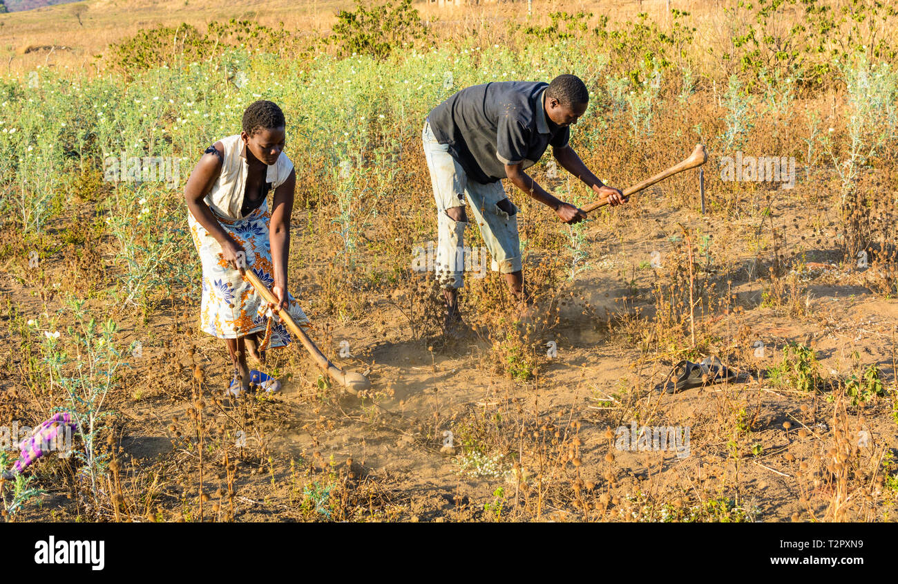 Working in fields africa hi-res stock photography and images - Alamy