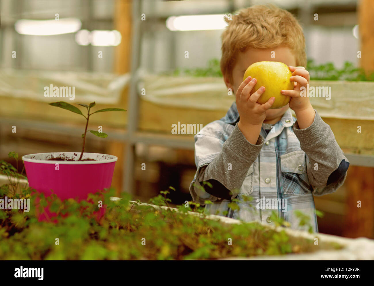 Child ingredients label hi-res stock photography and images - Alamy