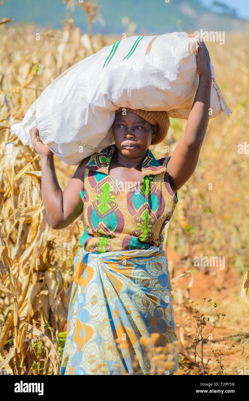 Woman carrying sack on head hi-res stock photography and images - Alamy