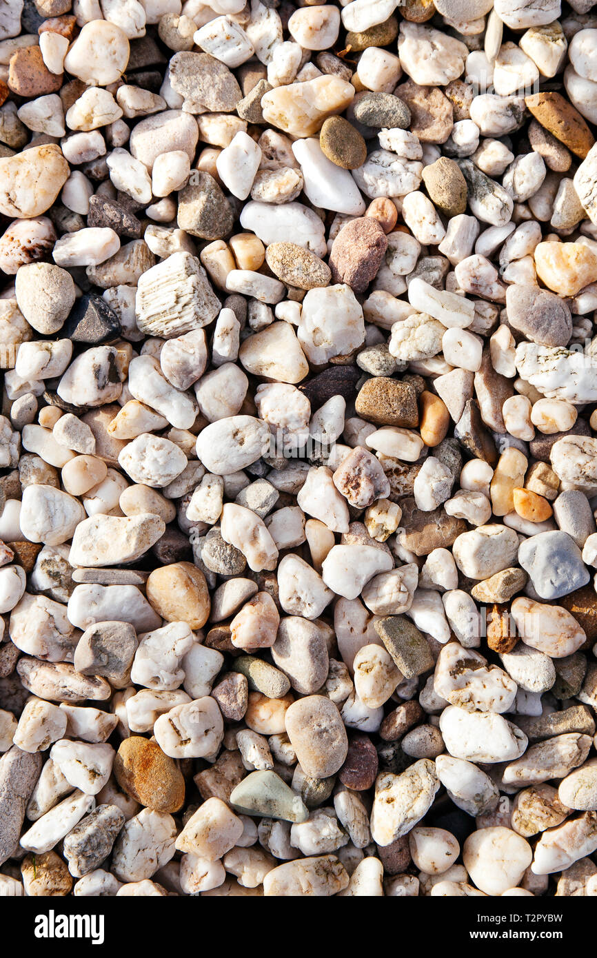 Small colored stones are illuminated by sunset. Sea stones lie in the ...