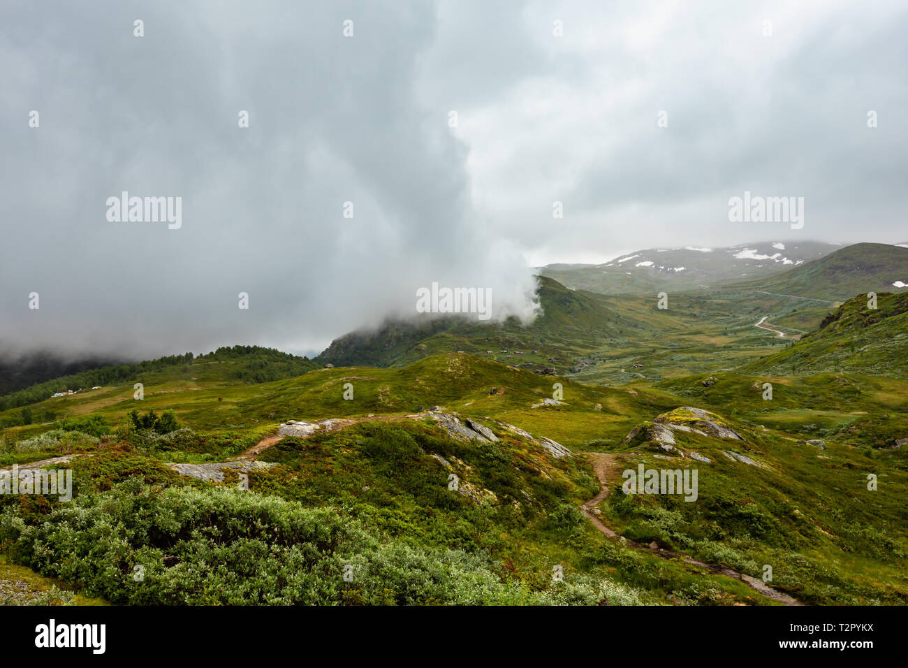 Tundra scene hi-res stock photography and images - Alamy