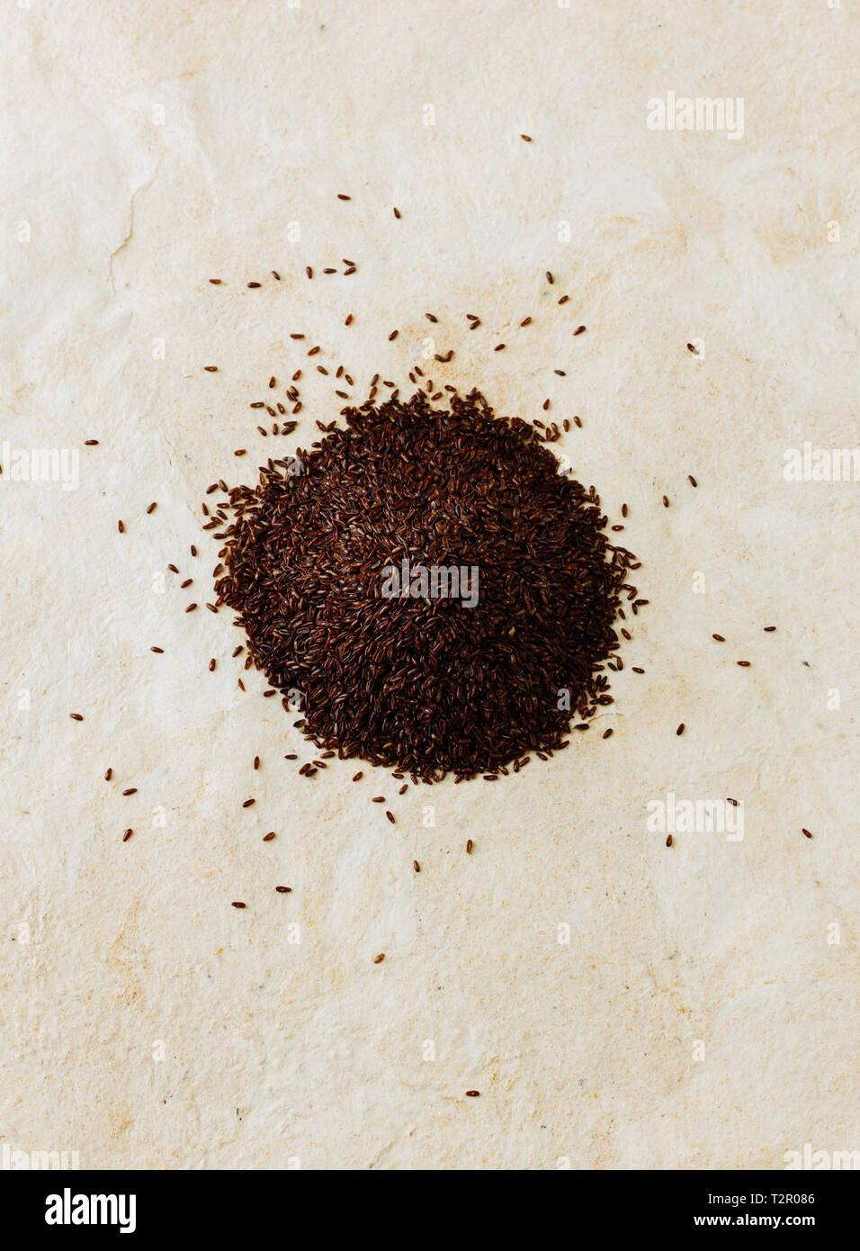 Flea seeds hi-res stock photography and images - Alamy
