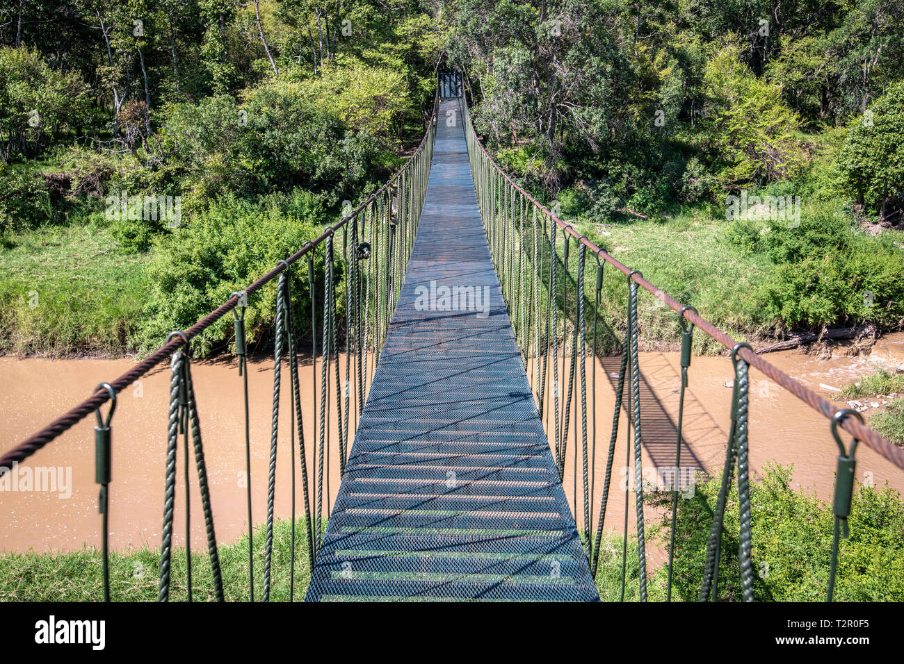 Savanna bridge hi-res stock photography and images - Alamy
