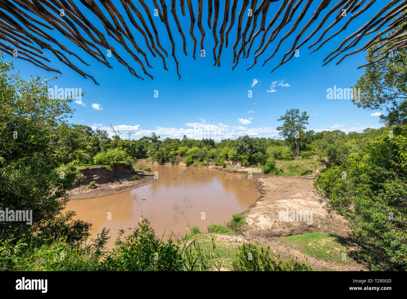 A murky river winds through the lush landscape in Maasai Mara National ...