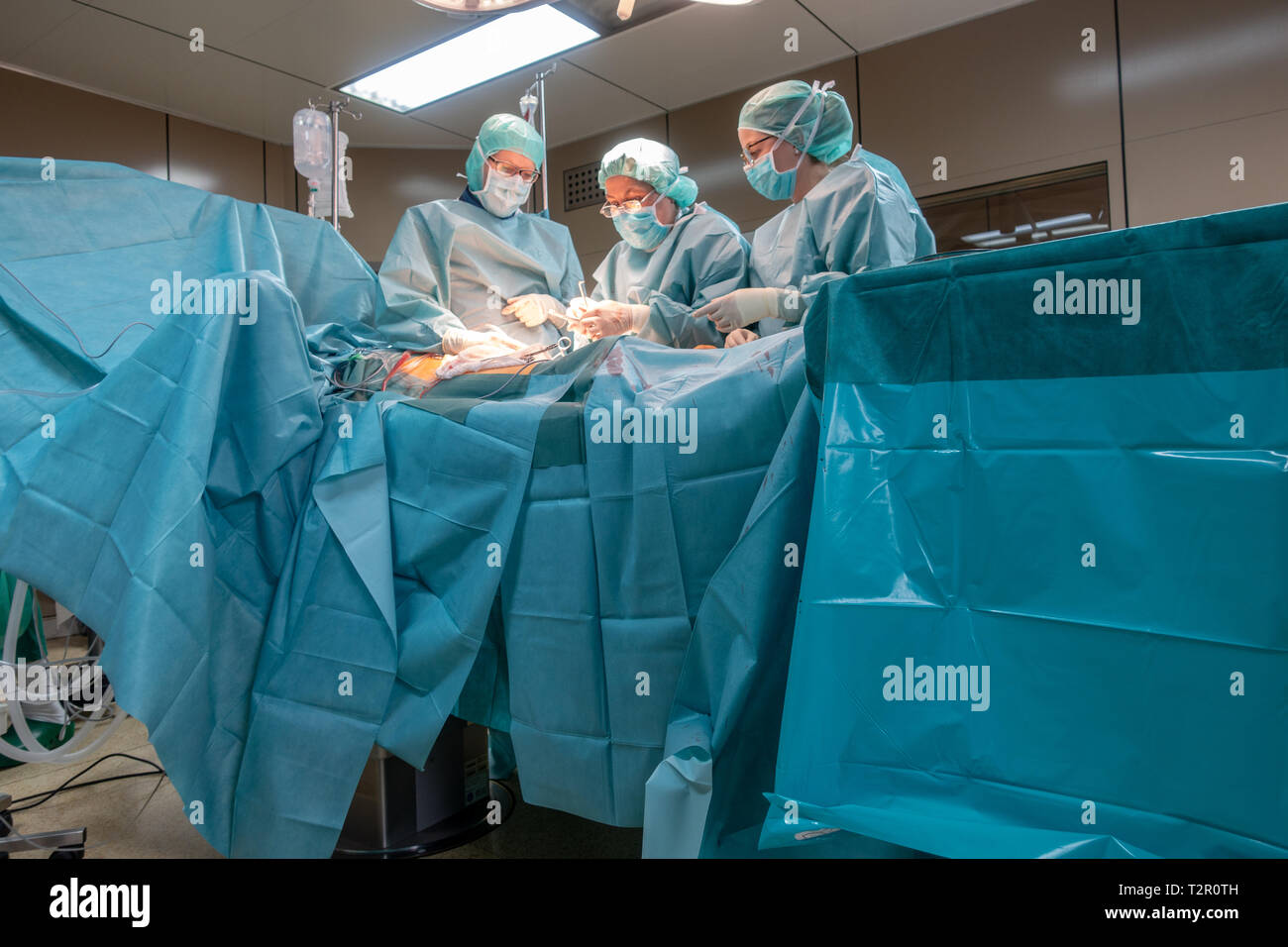 two surgeons perform a vascular operation Stock Photo - Alamy