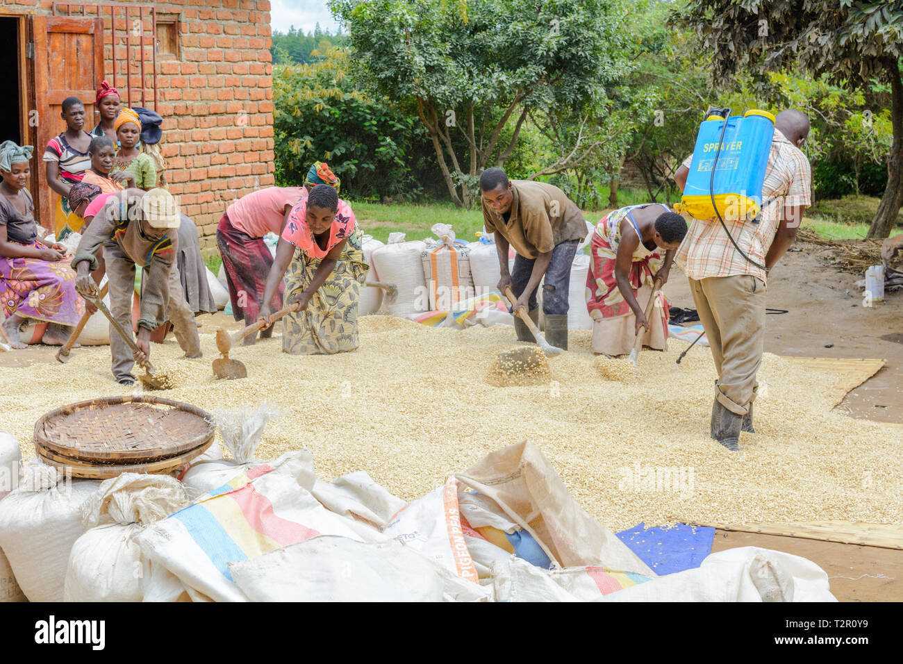 Maize storage africa hi-res stock photography and images - Alamy