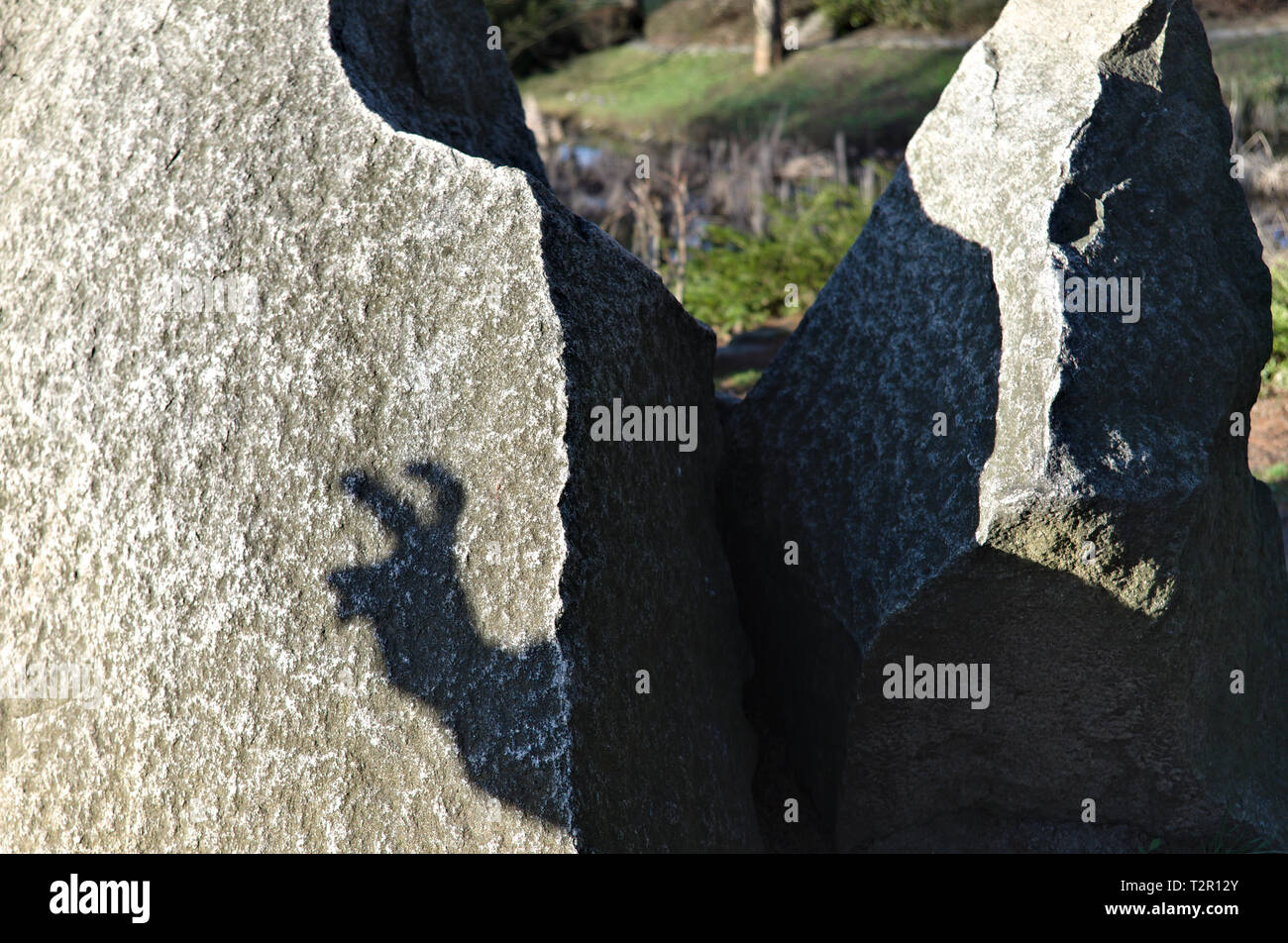 Shadowplay on a rock Stock Photo - Alamy