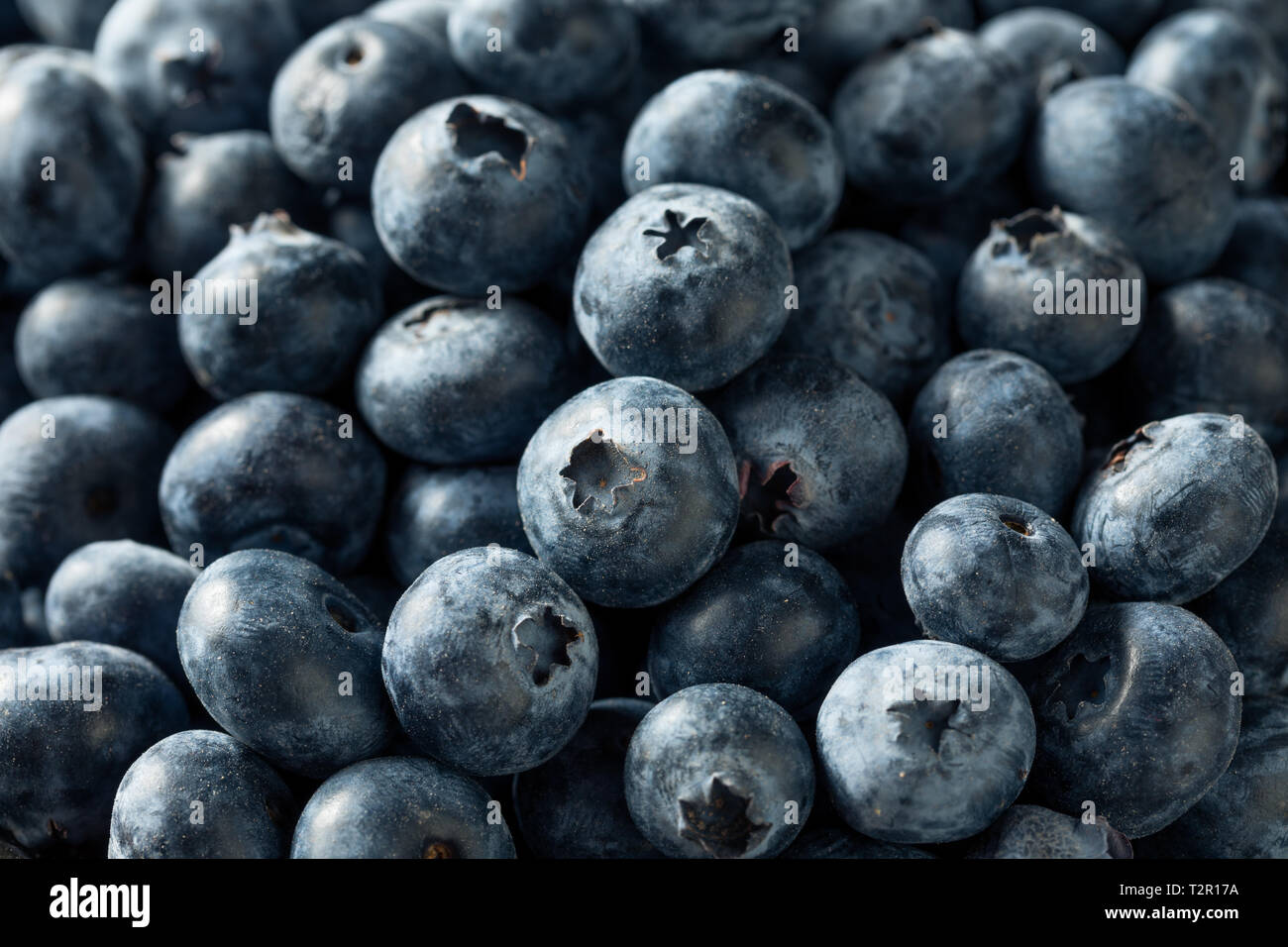 Raw Blue Organic Blueberries in a Bowl Stock Photo - Alamy