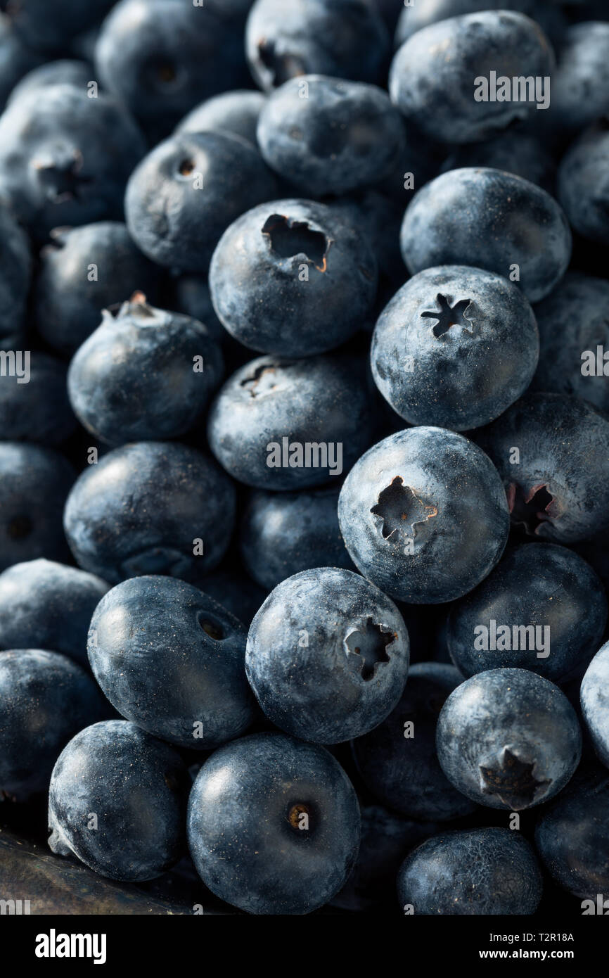 Raw Blue Organic Blueberries in a Bowl Stock Photo - Alamy