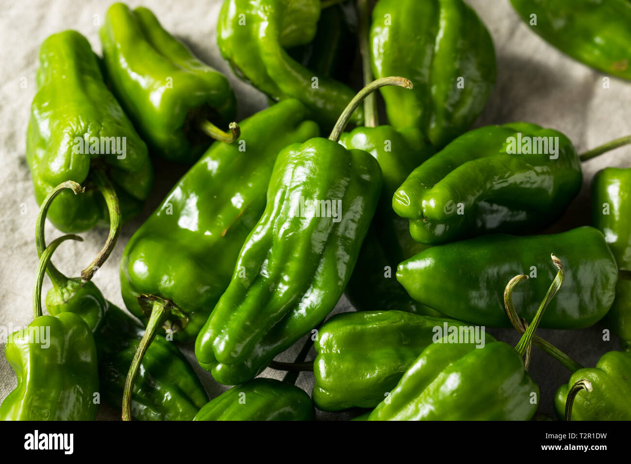 Raw Green Organic Spicy Gypsy Peppers Ready to Cook Stock Photo - Alamy