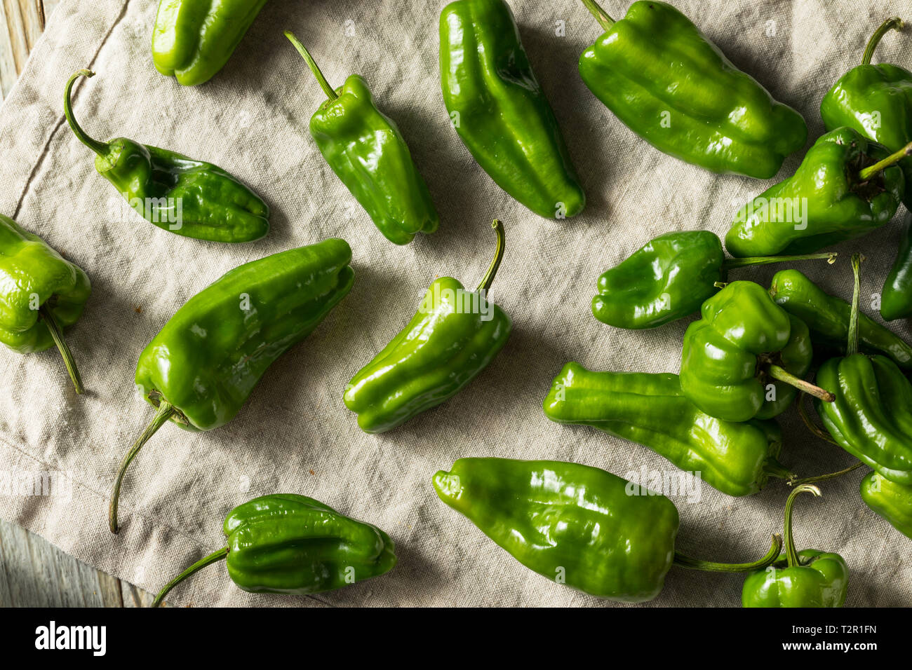 Raw Green Organic Spicy Gypsy Peppers Ready to Cook Stock Photo - Alamy