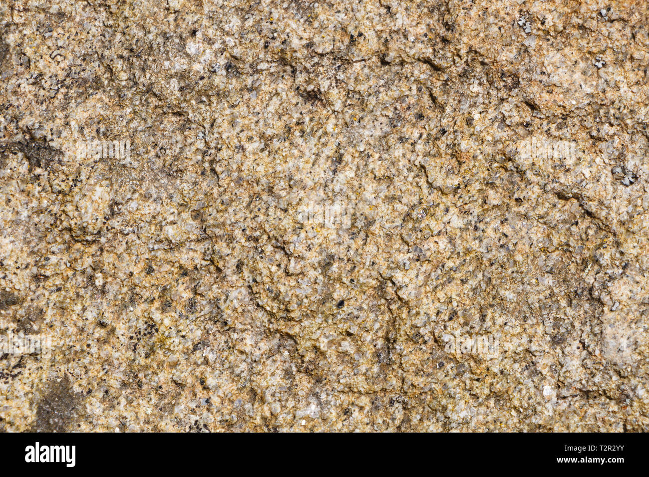 Granular texture hi-res stock photography and images - Alamy