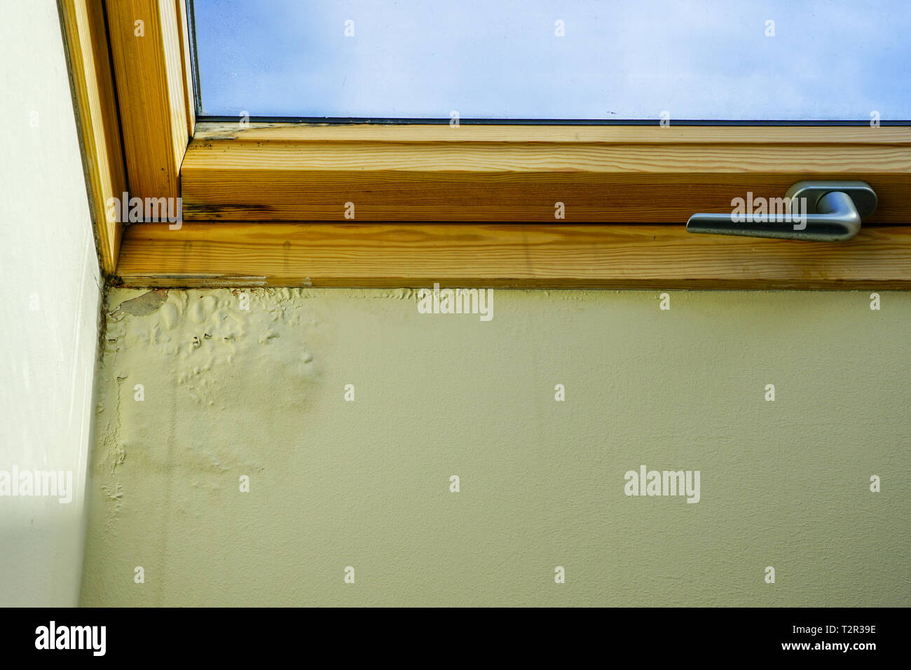 water and moisture damaged ceiling next to wooden roof window Stock ...
