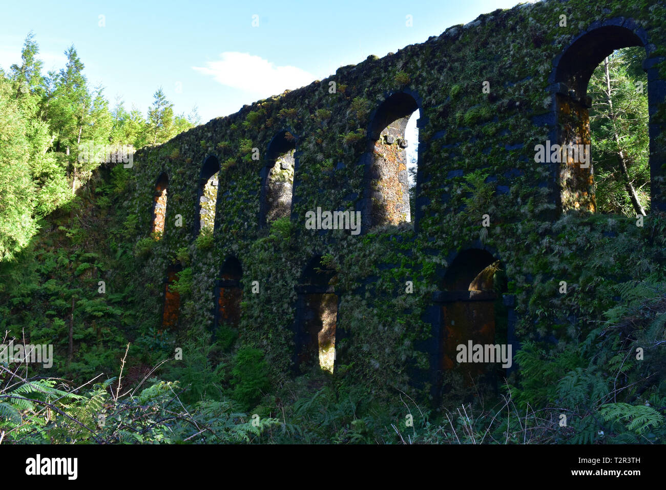 Moss covered arches hi-res stock photography and images - Alamy