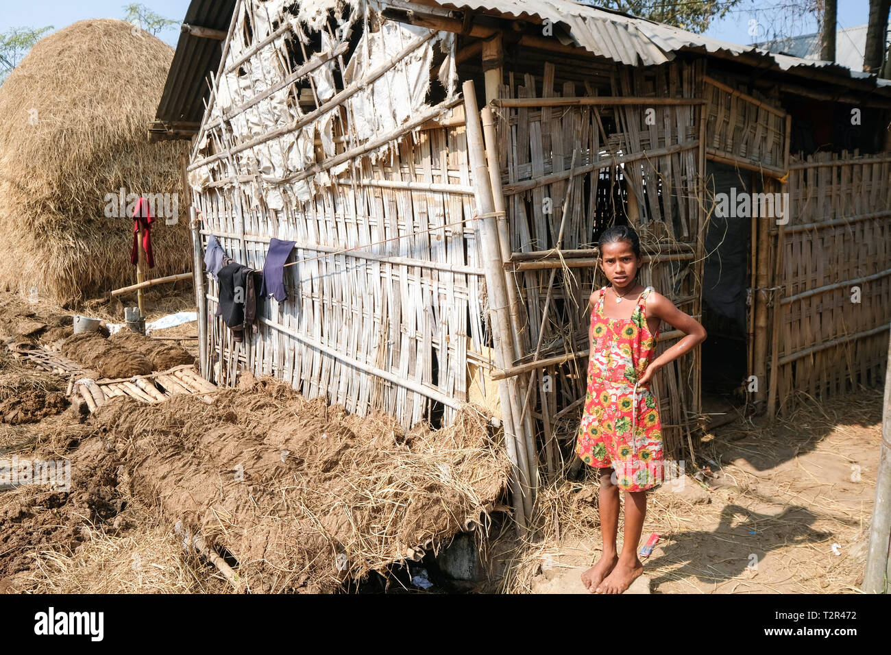 Cow dung hut hi-res stock photography and images - Alamy