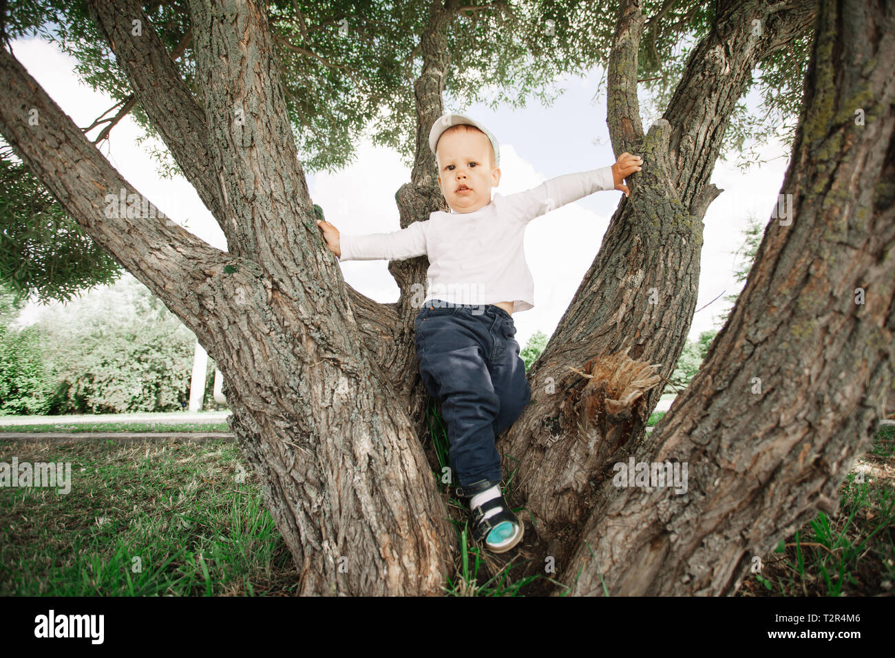 pretty little boy standing among the branches of a big tree Stock Photo ...