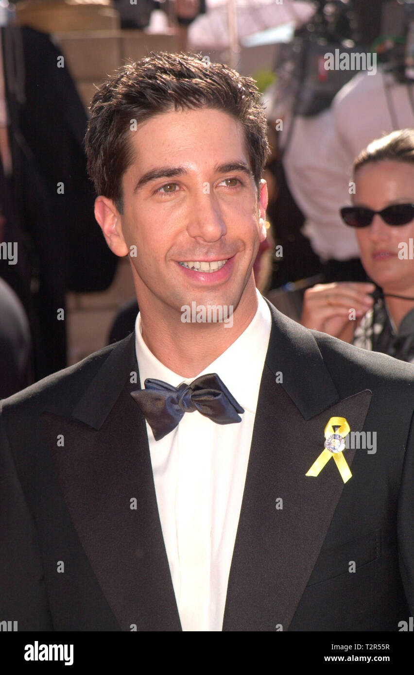 David Schwimmer Stock Photos & David Schwimmer Stock Images - Alamy