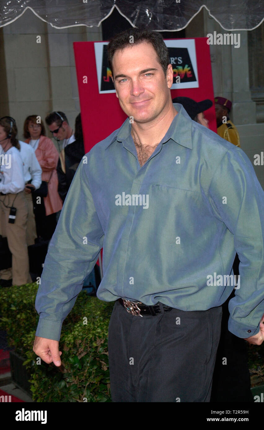 Patrick Warburton Filmography