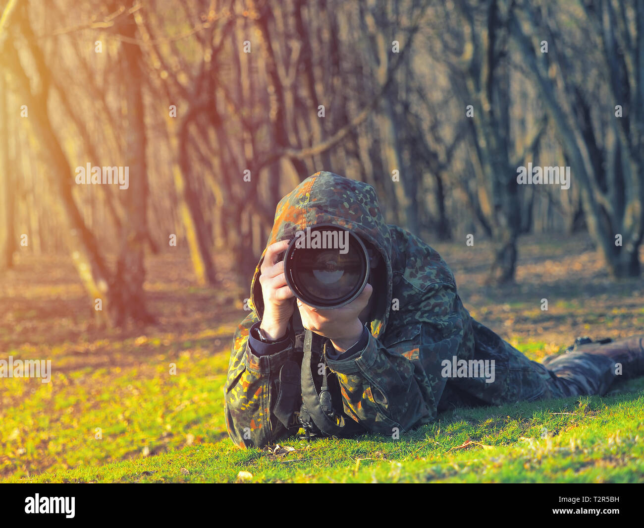 Zoom wildlife hi-res stock photography and images - Alamy