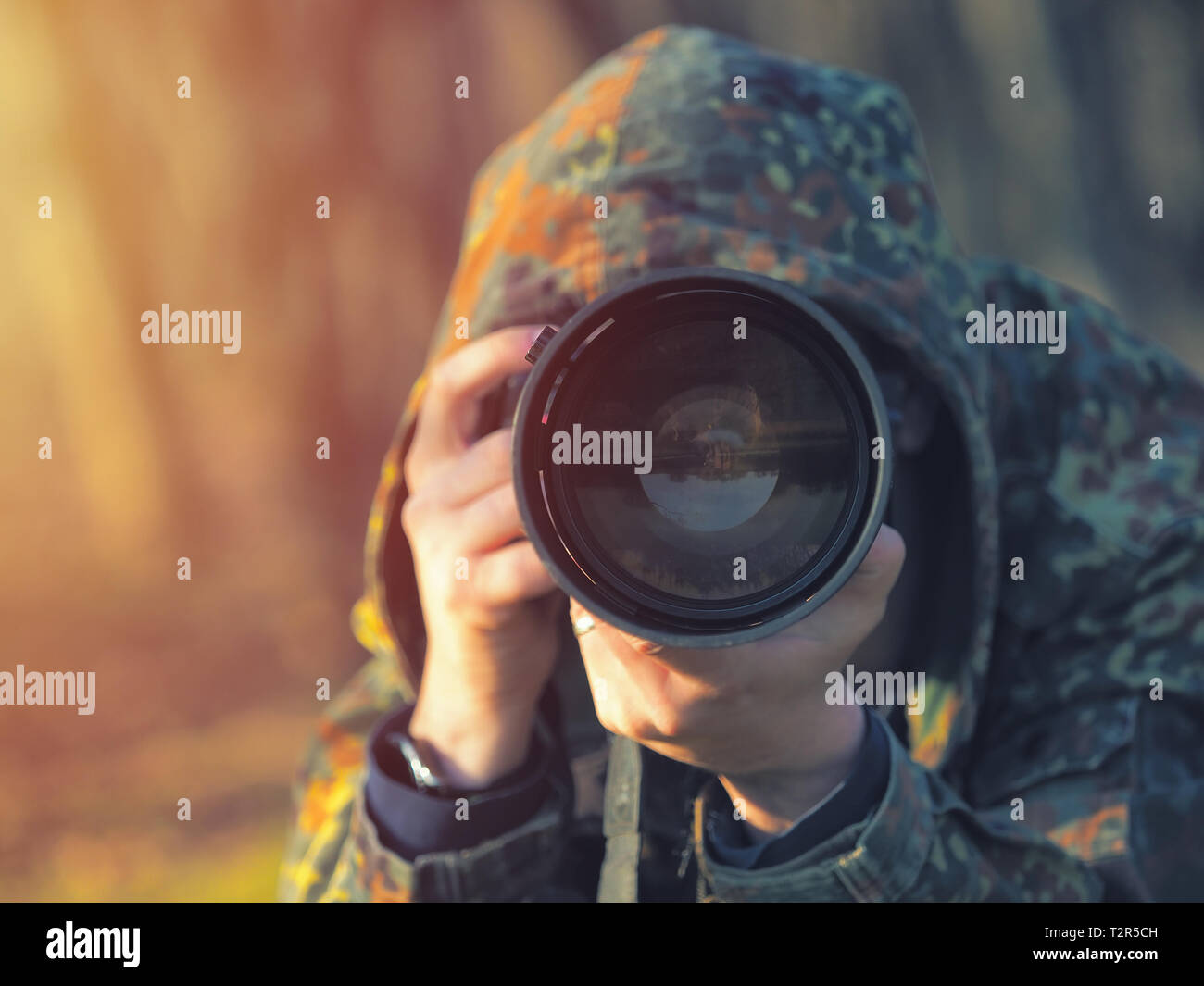 Zoom wildlife hi-res stock photography and images - Alamy