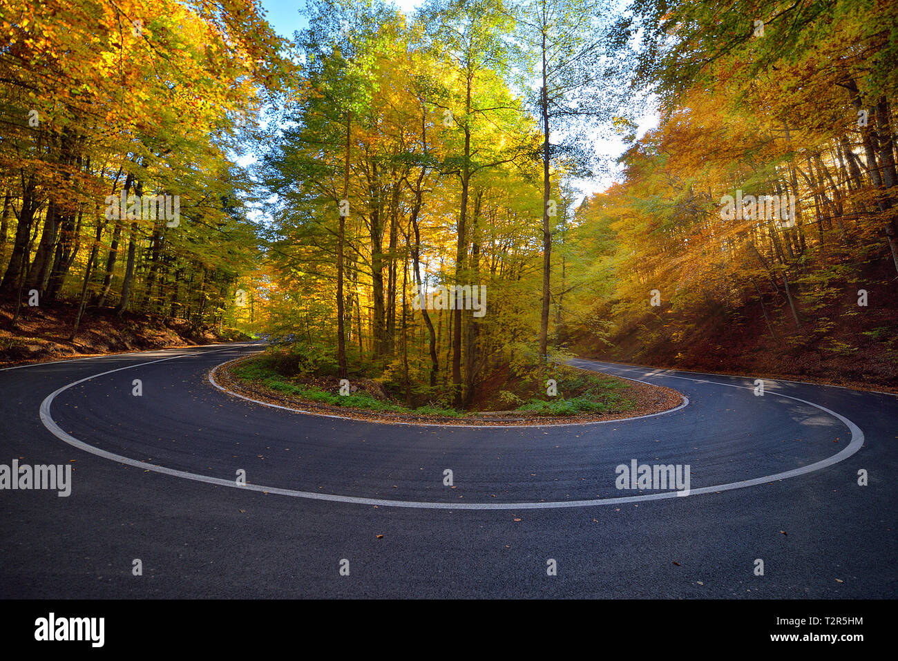 Splendid road hi-res stock photography and images - Alamy