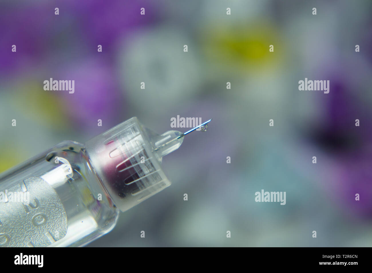 Diabetes syringe with needle closeup Stock Photo - Alamy