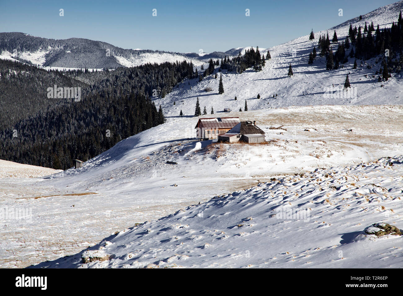 Cold isolation hi-res stock photography and images - Alamy