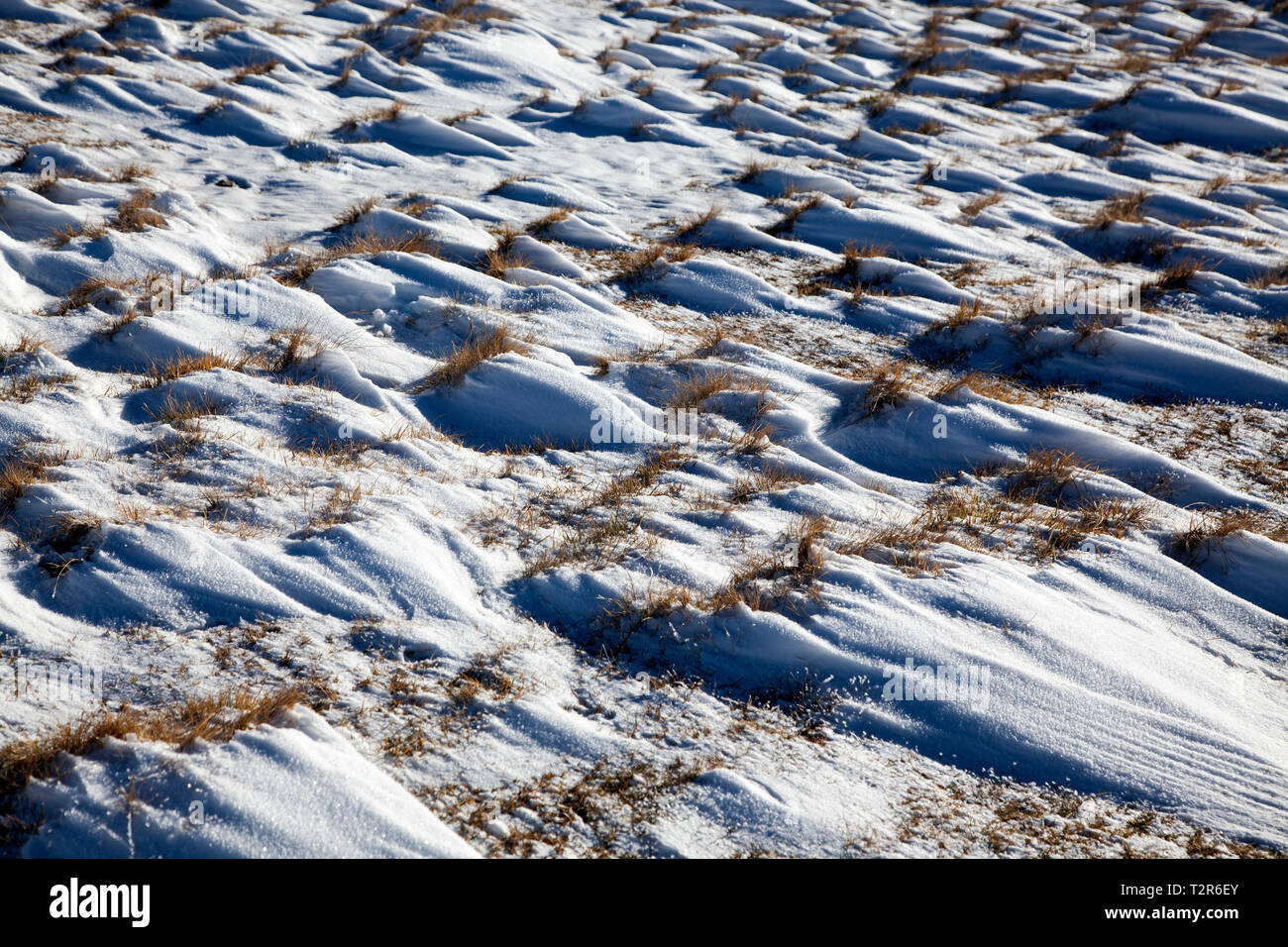 Frozen snow shaped by the wind Stock Photo - Alamy