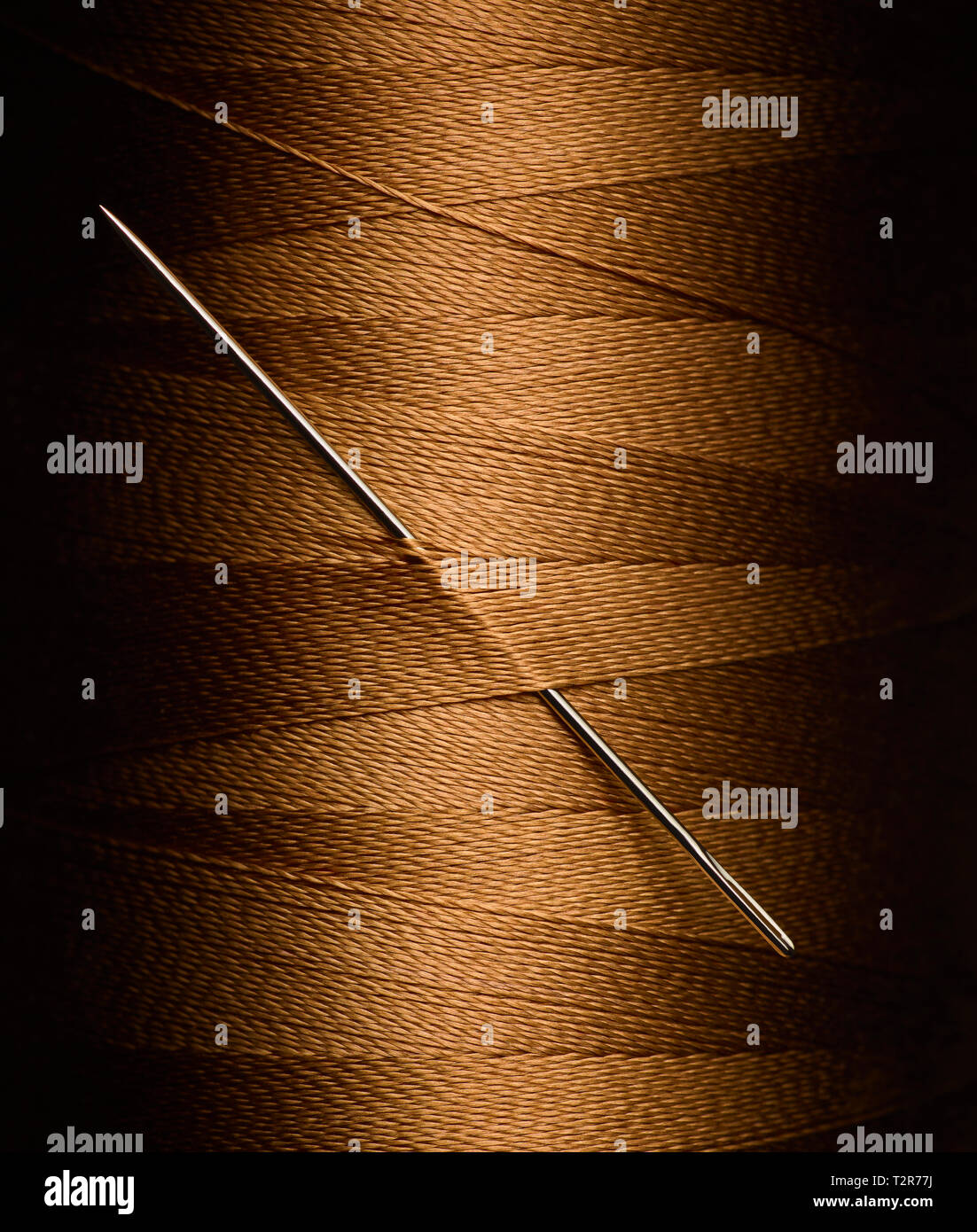 Yellow needle hi-res stock photography and images - Alamy