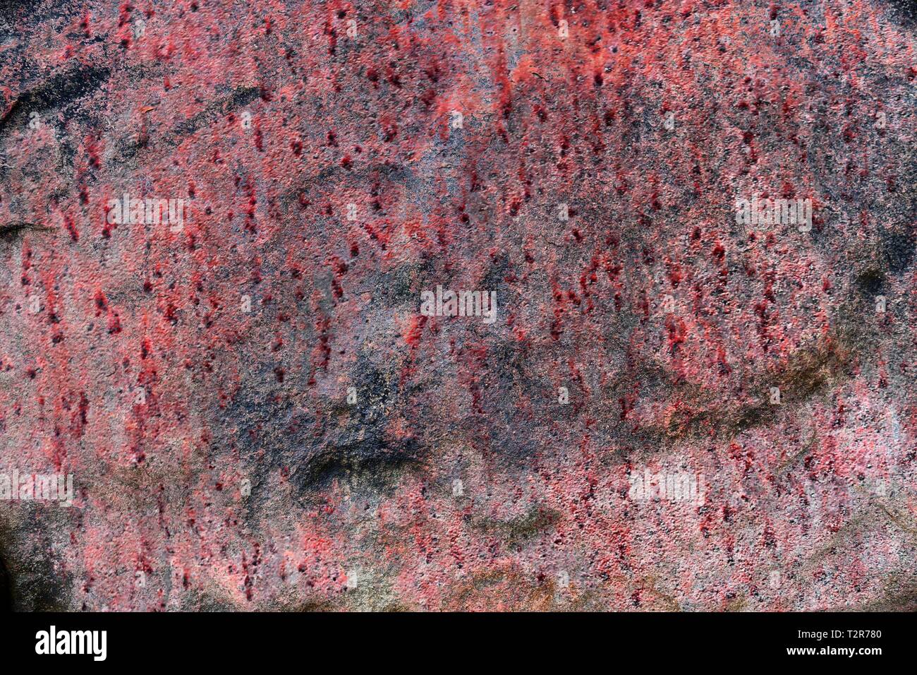 Close up detailed surface of rust and granite materials at different ...