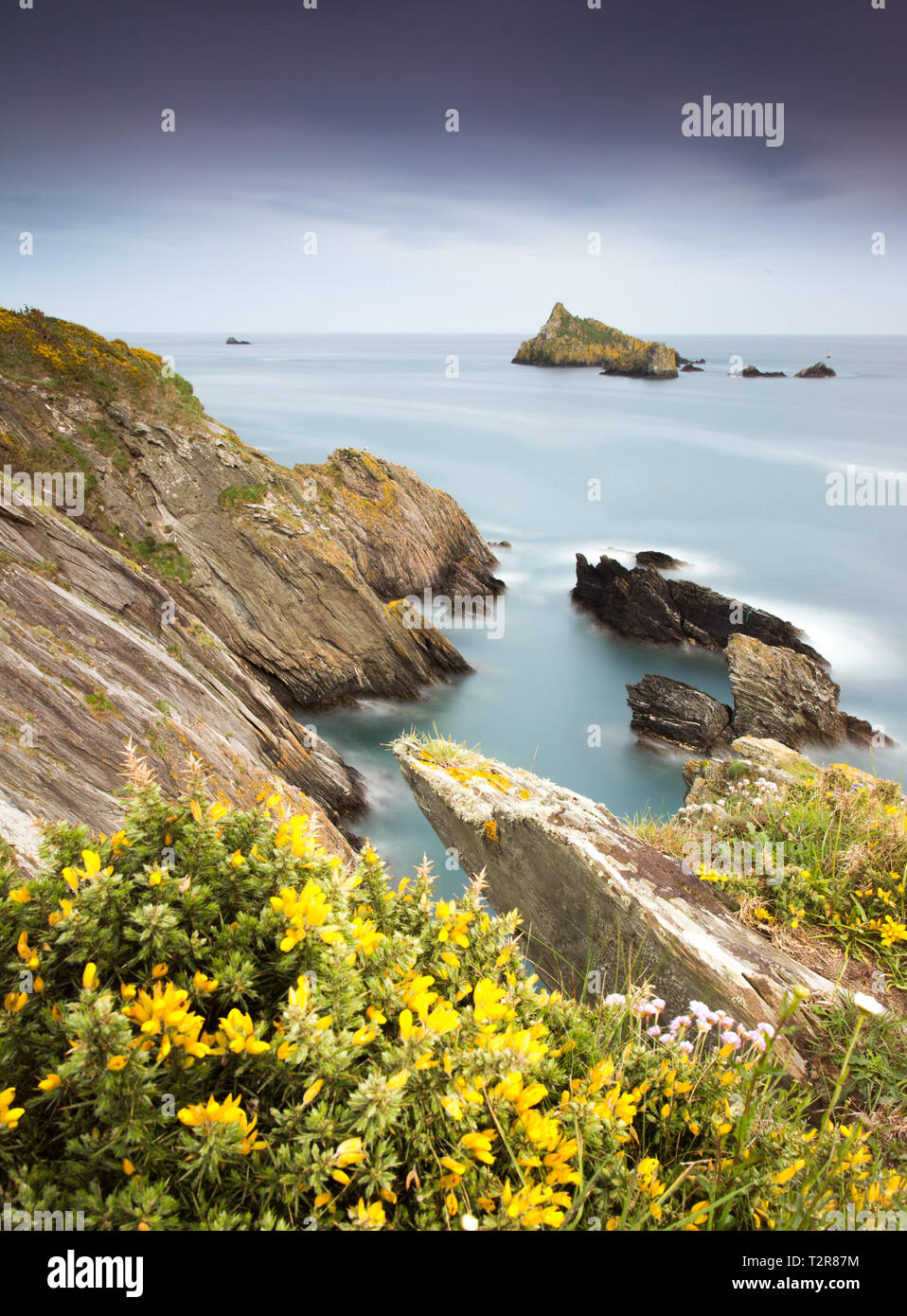 Froward hi-res stock photography and images - Alamy