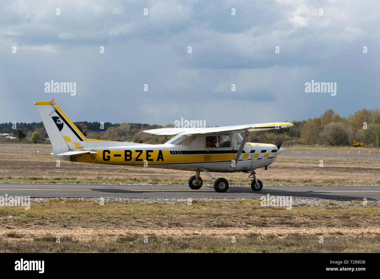 G bzea hi-res stock photography and images - Alamy
