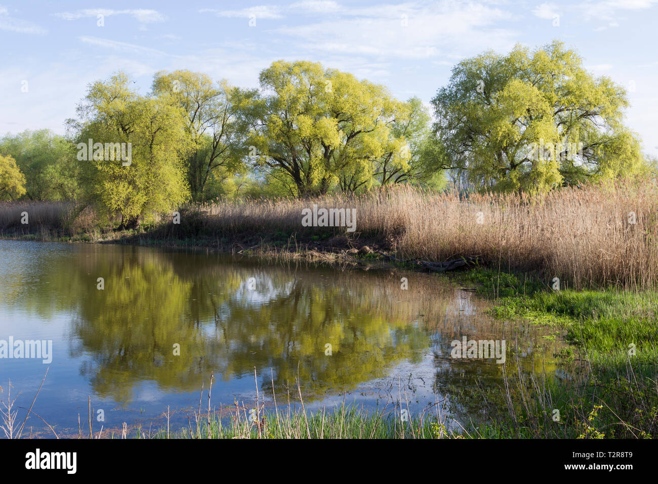 The backwater hi-res stock photography and images - Alamy