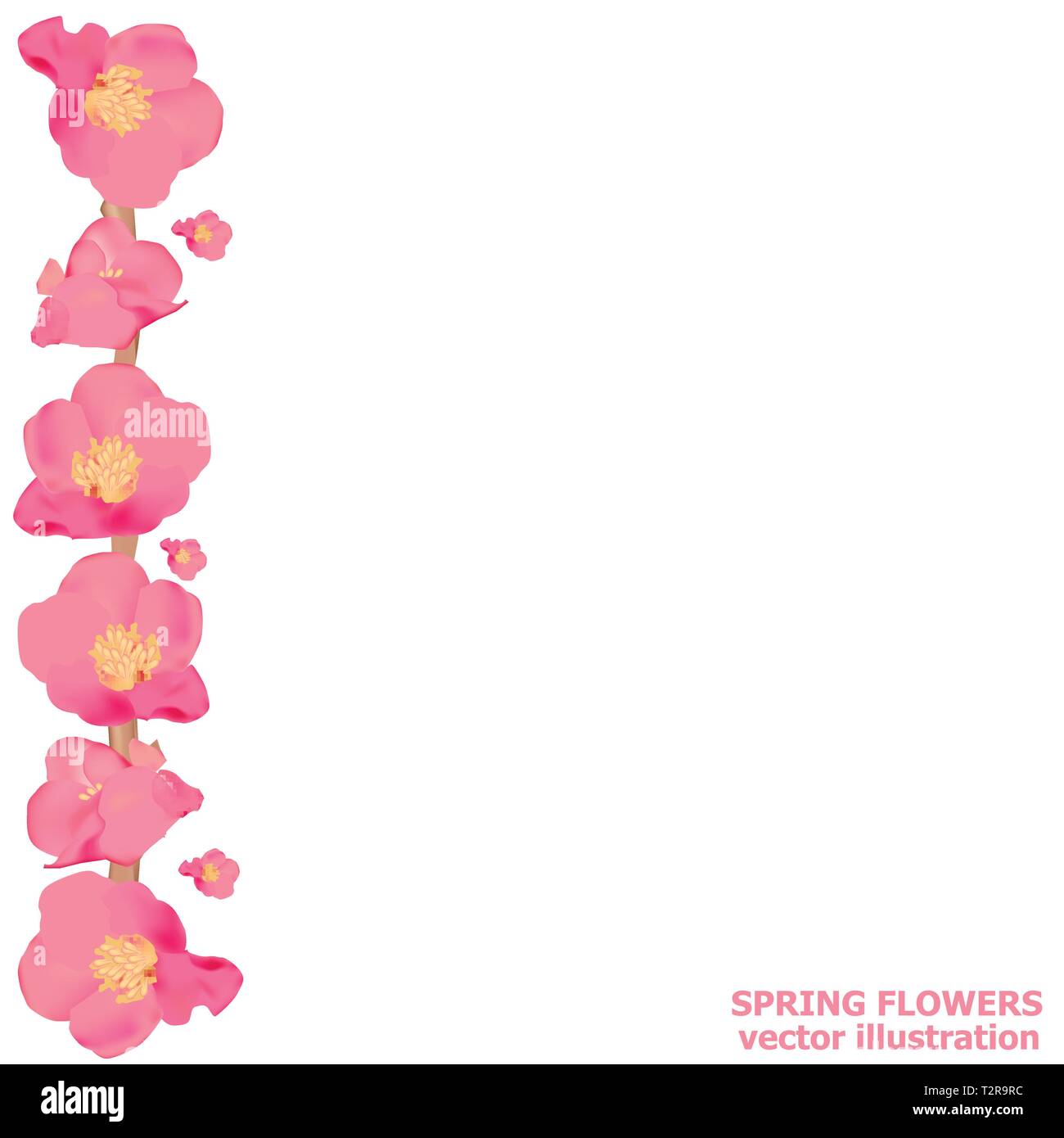 Vector background spring flowers Stock Vector Images - Alamy