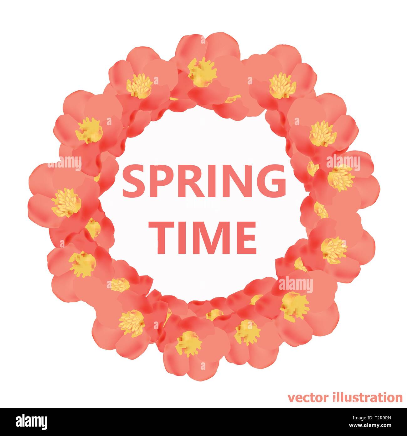 Bright spring flowers. Spring time background with beautiful colorful ...
