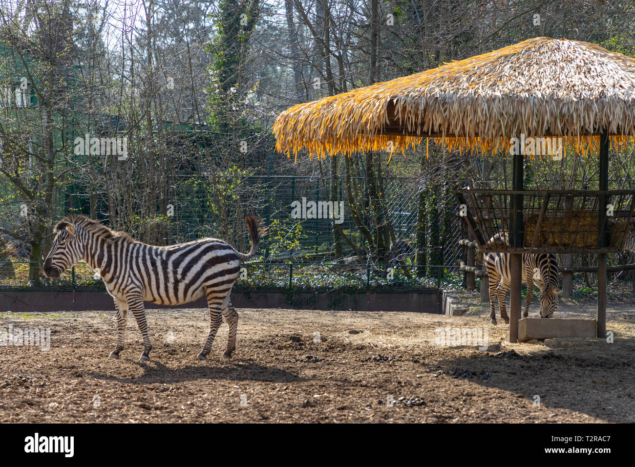 Zoo zagreb hi-res stock photography and images - Alamy