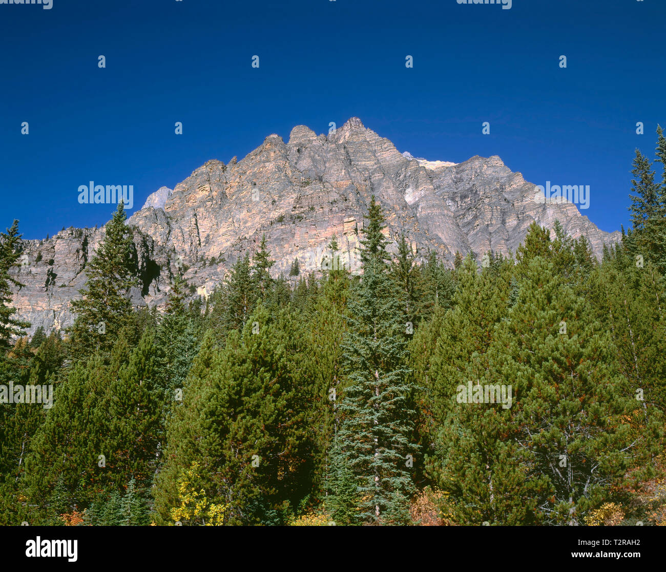Canada, Alberta, Banff National Park, Eroded south side of Mount Temple ...