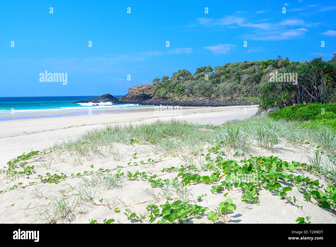 Fingal Head beach, Australia Stock Photo - Alamy