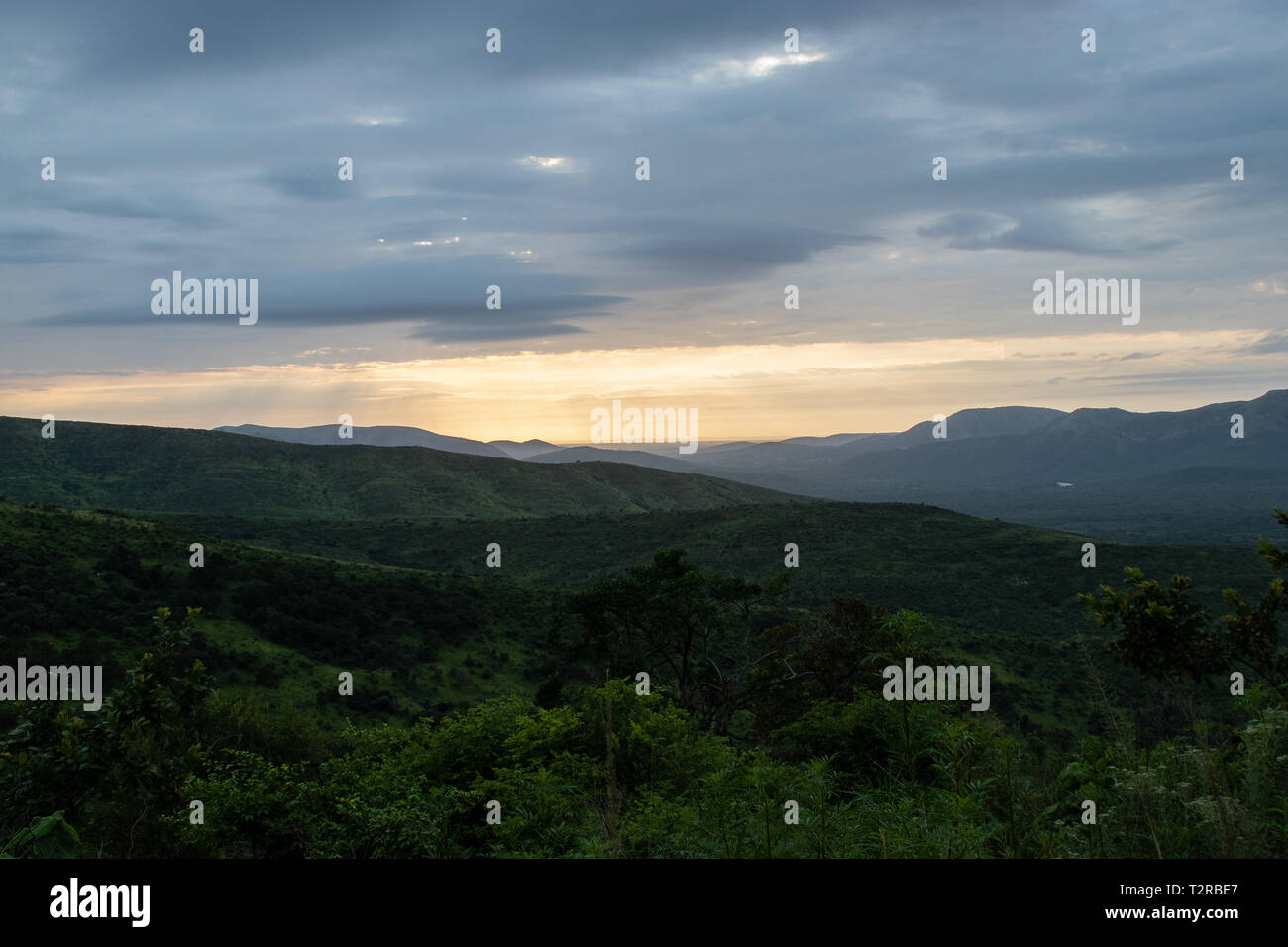 African forest aerial hi-res stock photography and images - Alamy