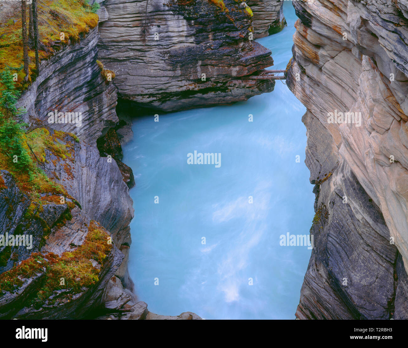 Canada, Alberta, Jasper National Park, Athabasca River has cut a deep ...